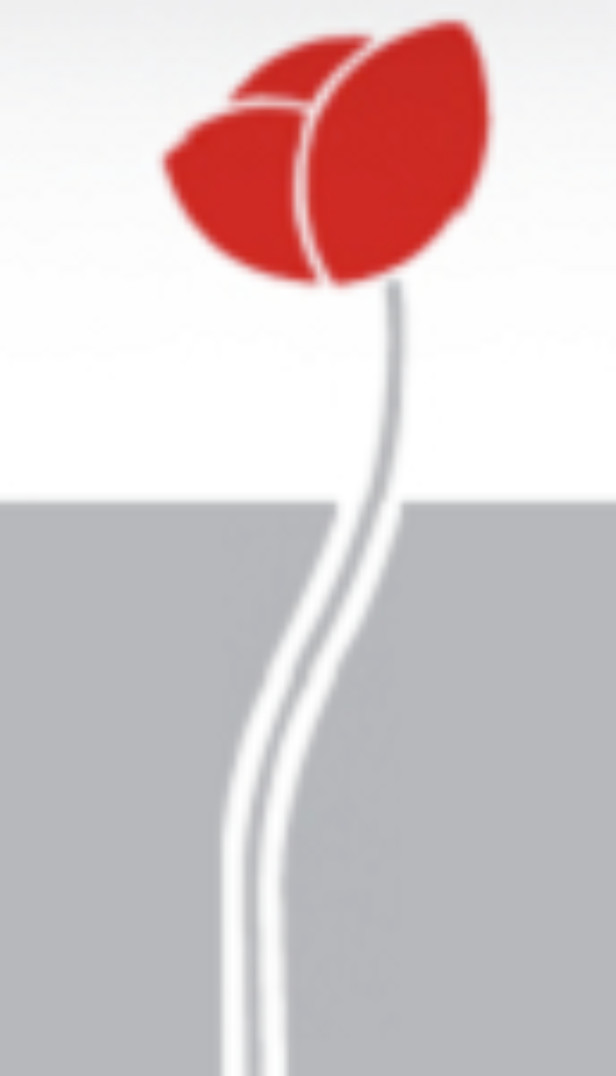 Tamer Institute for Community Education - ART / DIALOGUE / ACTION